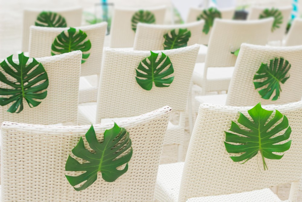 5 Easy Ways To Use Plants In Weddings - Conklyn's Weddings & Events ...