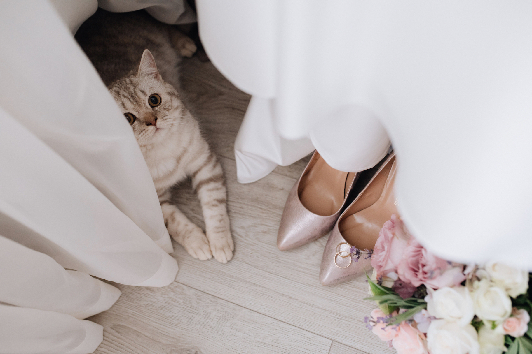 Six Ways to Celebrate Your Wedding with Furry Friends - Conklyn's ...